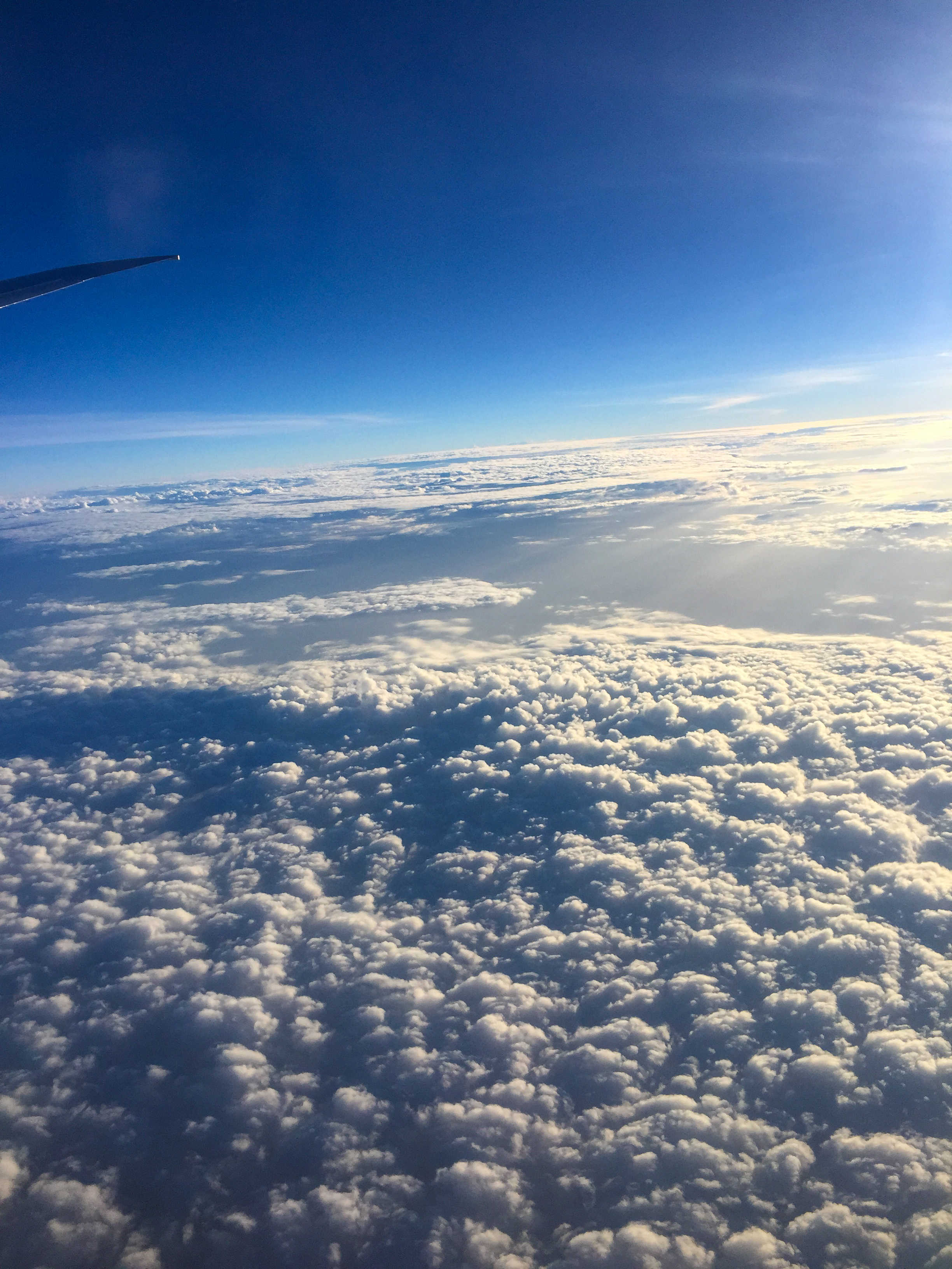 How I Cured My Fear of Flying – And By Fear I Mean Terror